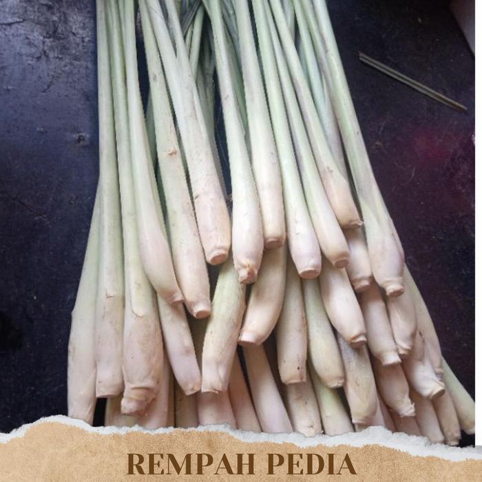 Jual Sereh Jumbo Bangkok 500gr - Jakarta Selatan - Rempahpedia | Tokopedia