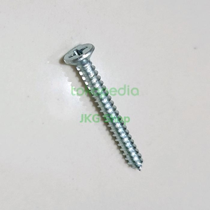 Jual Skrup Baut tapping screw FH 6 x 1 1/4 ( 3 cm )kepala rata galvanis ...