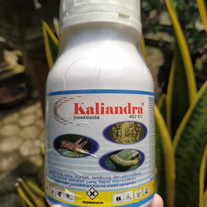 Jual KALIANDRA 482EC 200 ML Insektisida Untuk Belalang dan Ulat Grayak ...