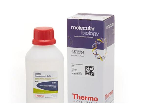 Jual TAE Buffer (Tris-acetate-EDTA) (50X) | B49 |Thermo Scientific - Kab. Tangerang - cv pelita ...