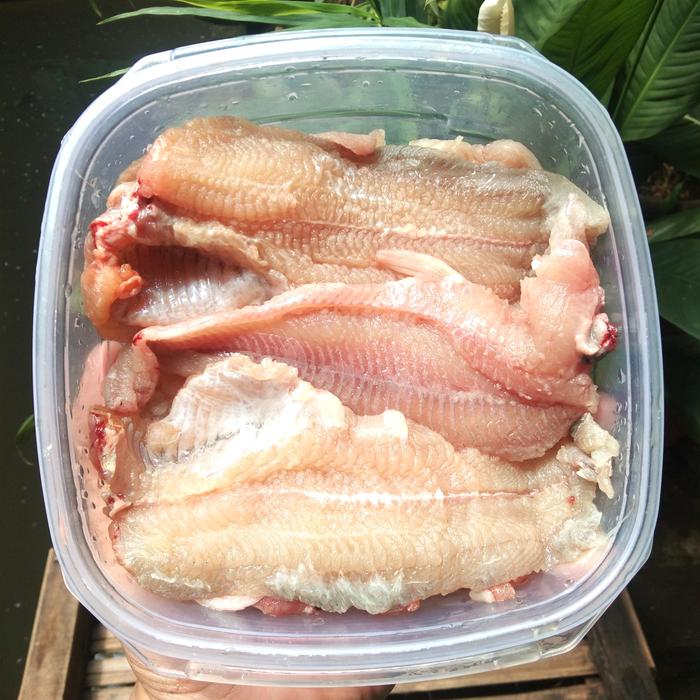 Jual lele fillet tanpa tulang dan kulit - Jakarta Selatan - My Healthy ...