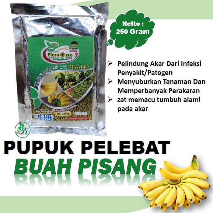 Jual Booster Hayati Pohon Pisang Kepok, Pupuk Nutrisi pisang agar berbuah - Kab. Kebumen ...