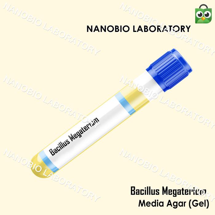Jual Isolat Culture Bacillus Megaterium Media Gel Agar - Gel Tube 50gr ...