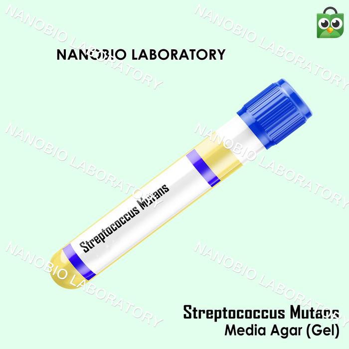 Jual Isolat Culture Mikroba Streptococcus mutans Media Gel ATCC - Gel ...