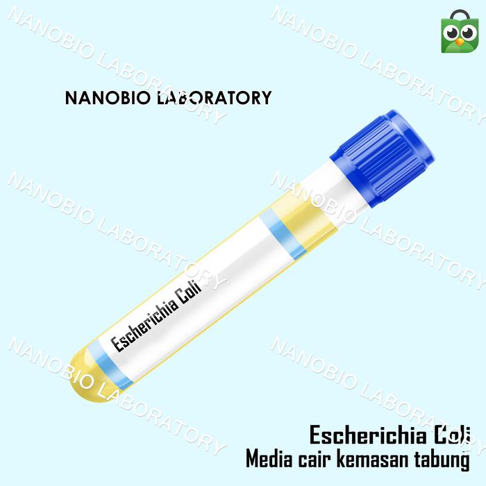 Jual Isolat Mikroba E coli / Escherichia coli Media Cair Tube - Gel ...