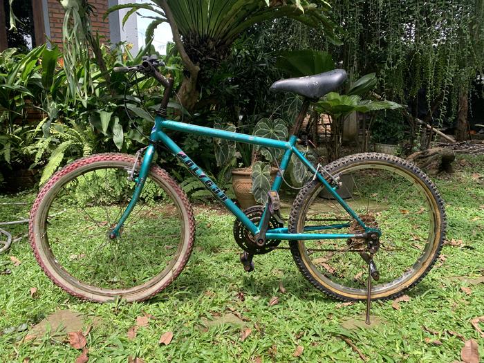 Jual Dijual Sepeda Polygon MTB size S Hijau Murah Nego Bogor Second ...