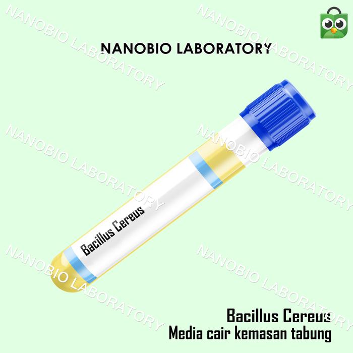 Jual Isolat Culture Bacillus Cereus Media Cair 100ml - Gel Tube 50gr ...