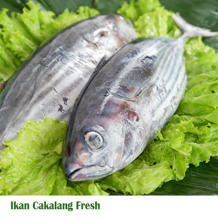 Jual IKAN SEGAR/IKAN LAUT/IKAN BEKU/IKAN CAKALANG- MIN 12KG - Jakarta ...