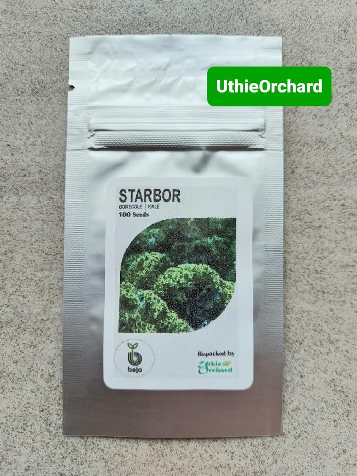 Jual Benih Bejo Seed - Kale Curly Starbor Kemasan 100 Seeds - Kota ...