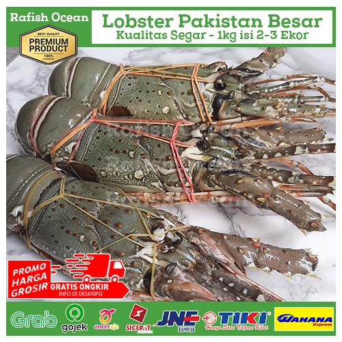 Jual Lobster Besar Segar 1kg isi 2-3 Ekor/Lobster Pakistan/Lobster Laut ...