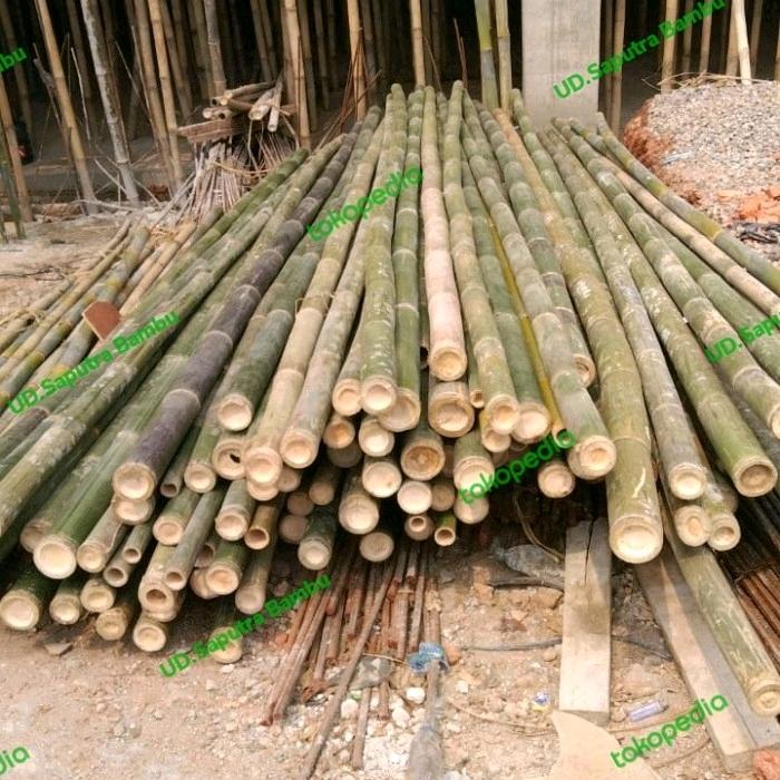 Jual Bambu steger 8-10cm - Jakarta Timur - UD.Saputra Bambu | Tokopedia