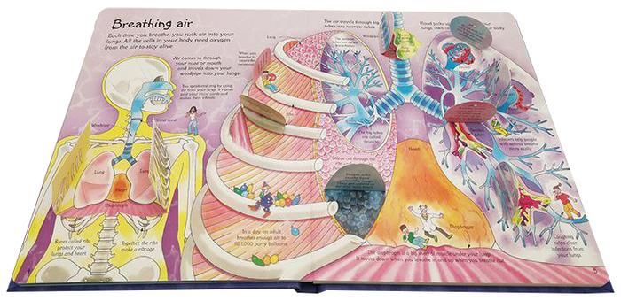 Jual Buku See Inside Your Body Usborne With Over 50 Flaps To Lift Di ...