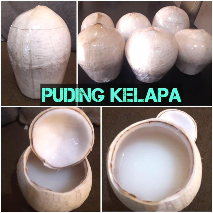 Jual Puding Kelapa Thai Batok Bulat / Coconut Pudding Jelly - Jakarta ...