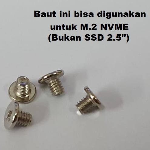 Jual Sekrup / Baut untuk SSD M.2 NVME - SSD NVME pada Komputer ...
