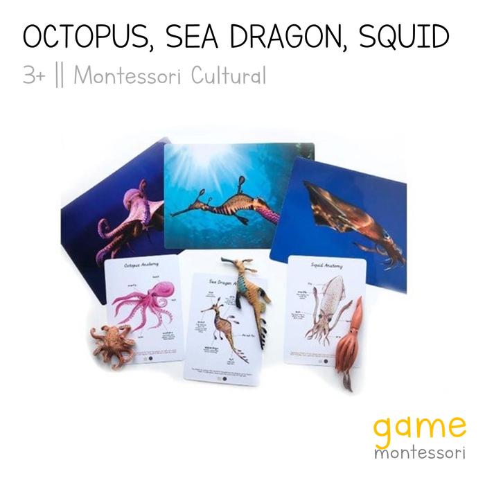 Jual Montessori Cultural Ocean Animals - Sea Dragon Set - Kab ...