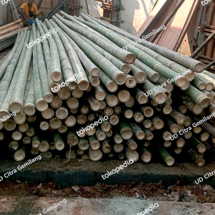 Jual Bambu Steger diameter 8-10cm - Jakarta Selatan - UD Citra Gemilang ...