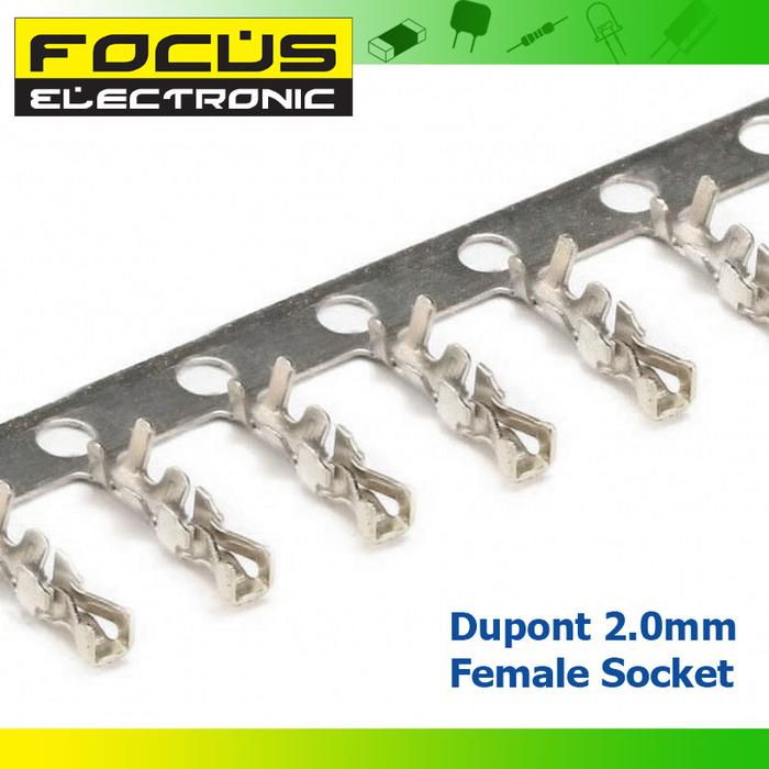 Jual Dupont Connector Socket 2.0mm Female Pin Jumper Arduino ESP8266 ...