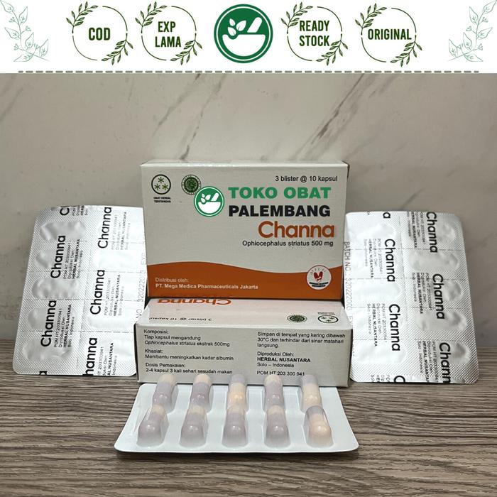 Jual CHANNA 30 KAPSUL KEMASAN STRIP ALBUMIN IKAN GABUS KUTUK CHANNA ...