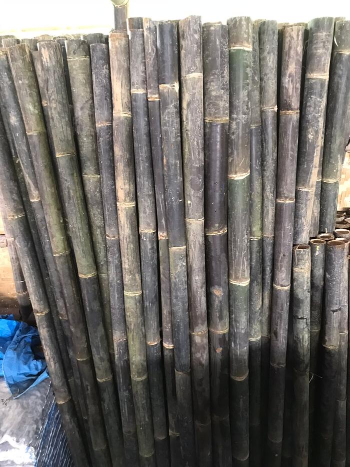 Jual Bambu Hitam Gelondong Panjang 2 Meter - Jakarta Barat - Rofah ...