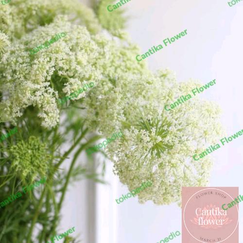 Jual bunga animajus fresh - Jakarta Barat - Cantika Flower | Tokopedia