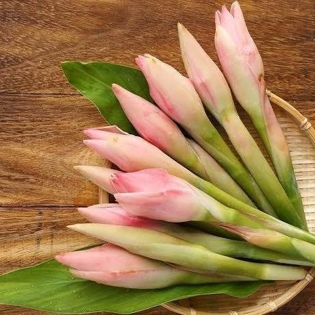 Jual Sayur Segar Kecombrang / Honje / Kencong / Kincung / Rombeh 100gr ...