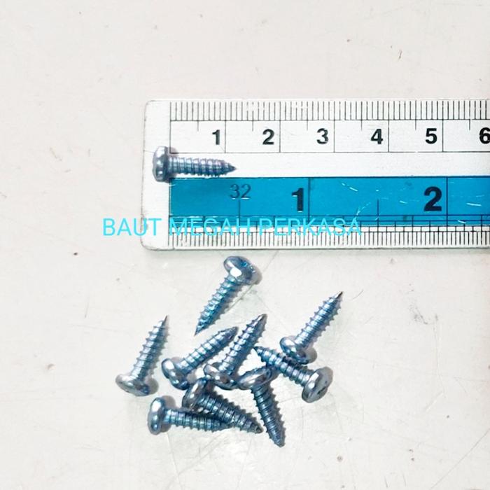 Jual Tap Screw / Sekrup PAB 6x1/2 (1,27 cm) per [100 PCS] - Kota ...