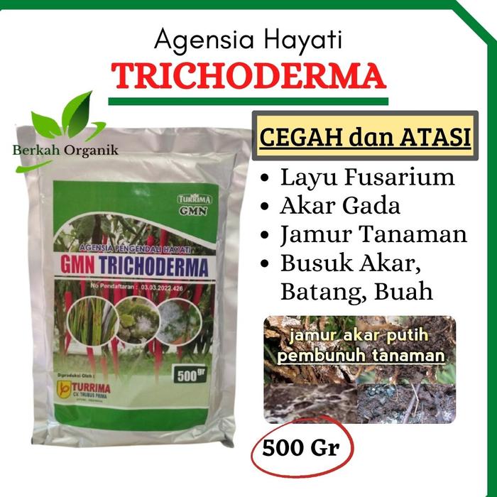 Jual Trichoderma Untuk Tanaman Cabe, Fungisida Hayati Tricoderma ...