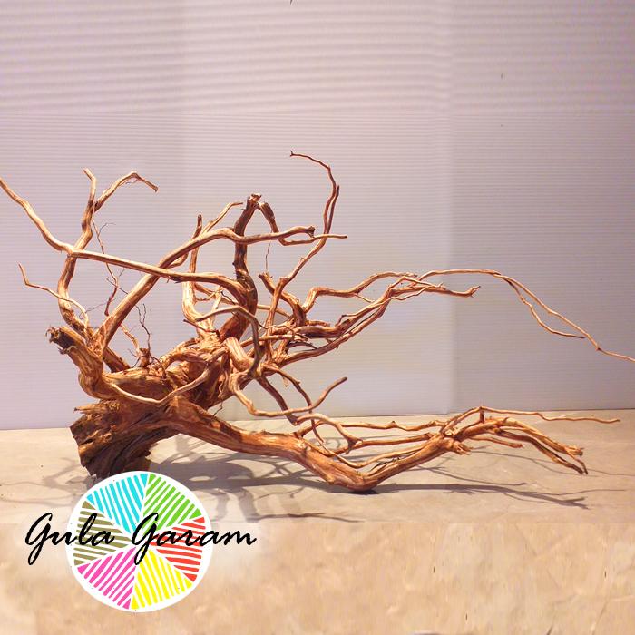 Jual Kayu Akar Rasamala XL Hiasan Aquarium Aquascape Paduan Tanaman ...