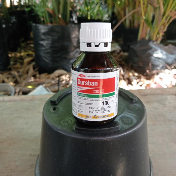 Jual Dursban 200EC 100ml / Insektisida Pembunuh Serangga - Jakarta ...