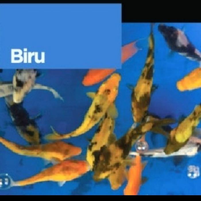 Jual Ultrapond Propan Cat Kolam Ikan 2.5Kg / Cat Waterproofing Tahan ...