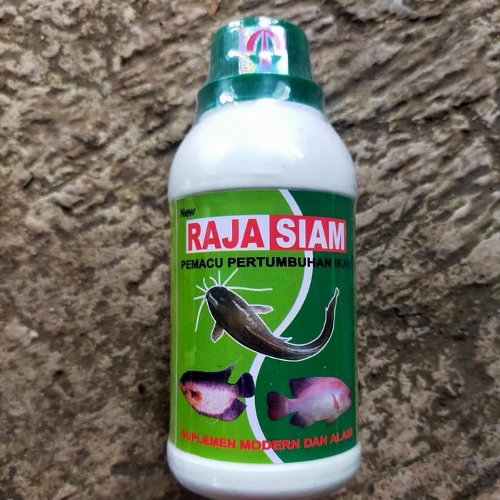 Jual pemacu pertumbuhan ikan raja siam percepat pertumbuhan ikan lele ...
