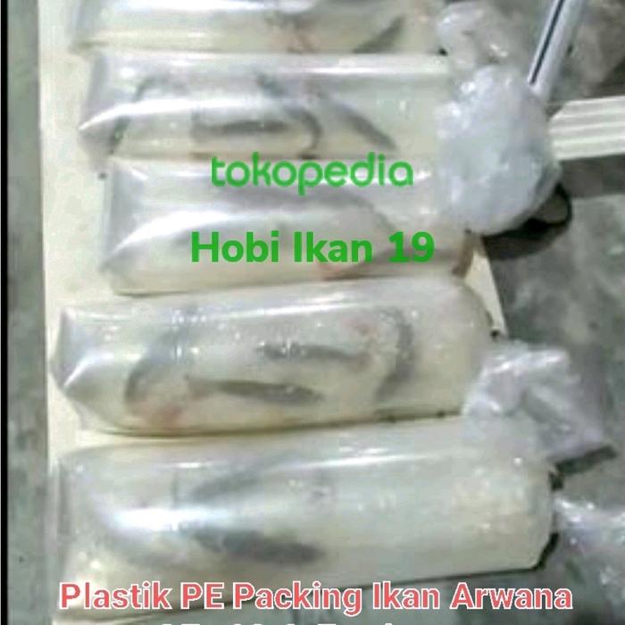 Promo Plastik PE 20x50 0.05 Packing IKAN ARWANA/AROWANA - Kab. Subang ...