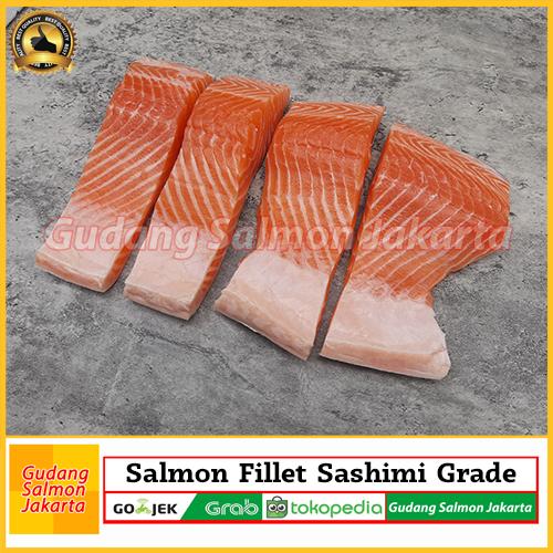 Jual Ikan Salmon Fillet Segar Fresh 1 kg (bisa untuk mpasi atau sashimi ...