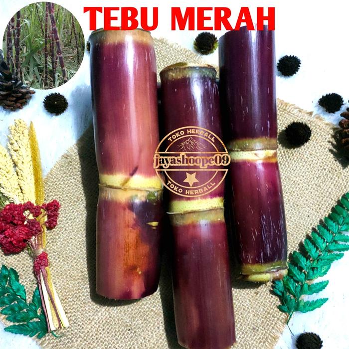 Jual Tebu manis 1-kg batang tebu manis - batang tebu merah manis - Kab ...