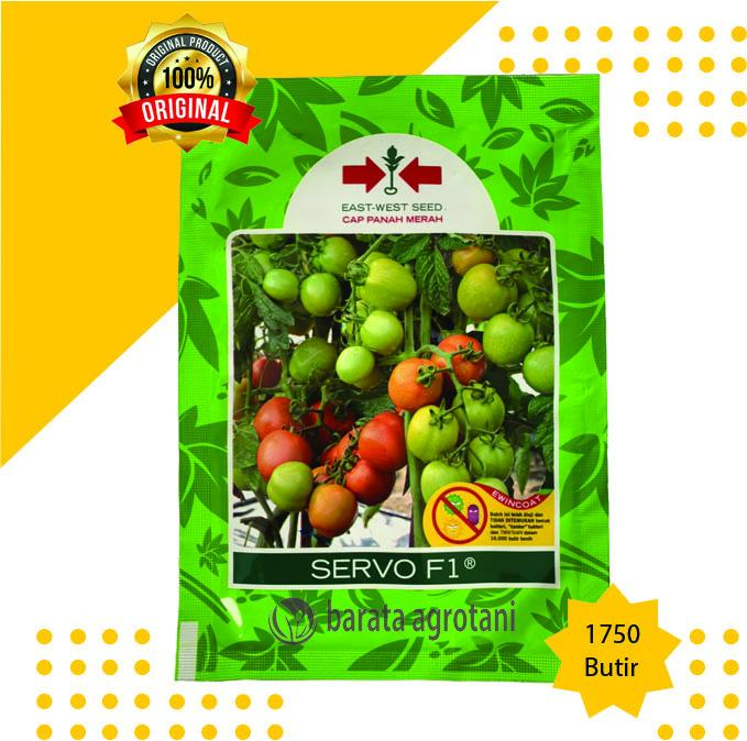 Jual Benih Tomat SERVO F1 Cap Panah Merah isi 1750 Butir - Kab ...