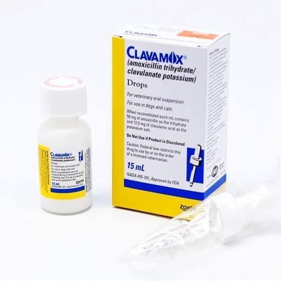 What Is Clavamox Used For Dogs