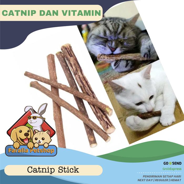 Jual Catnip Stick Snack Pure isi 5 pcs/ Gigitan Kucing Catmint Cat ...