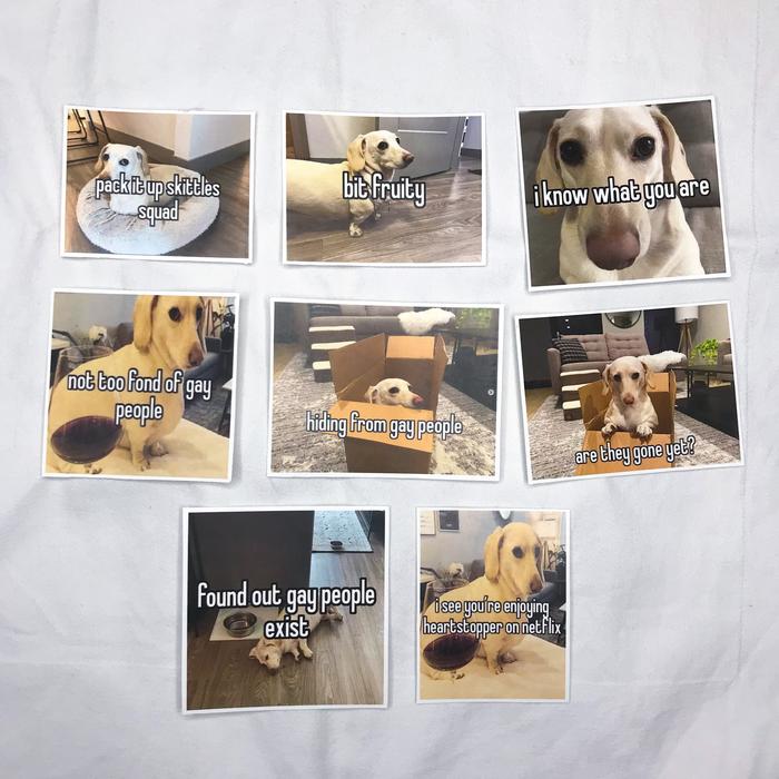 Jual Funny Dog Meme Sticker Pack - Jakarta Utara - Good Humans | Tokopedia