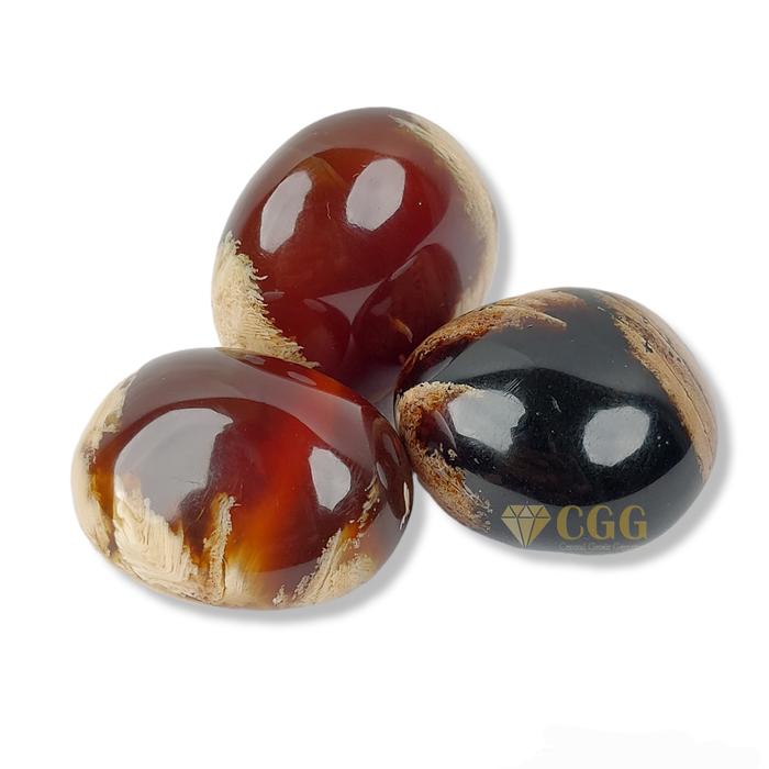 Jual Batu Akik Getah Katilayu Amber Motif Fosil Kayu Garansi Asli ...