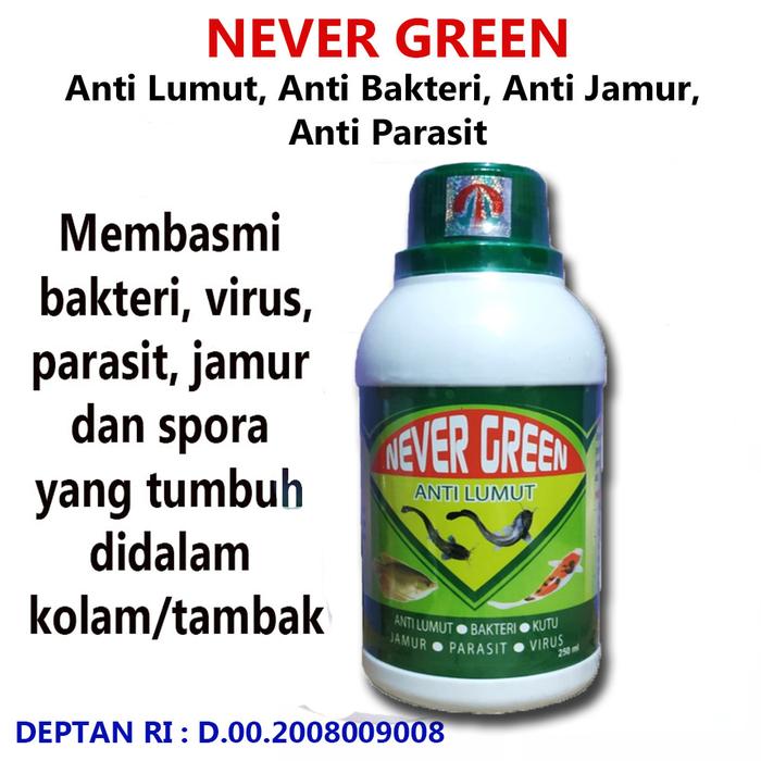 Jual Anti Lumut Never Green Obat Pembasmi Lumut Kolam Ikan - NEVERGREEN ...