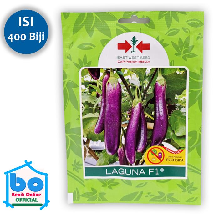 Jual Benih Terong Ungu LAGUNA F1 Cap Panah Merah - Jakarta Barat - Benih Online_NEW | Tokopedia