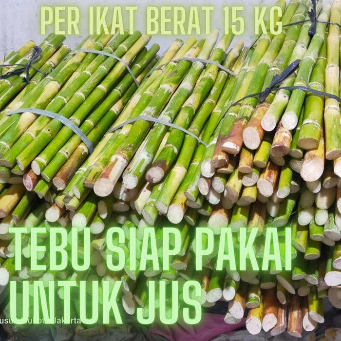 Jual Tebu mentahan untuk jus per ikat isi 15 kg segar baru ditebang ...