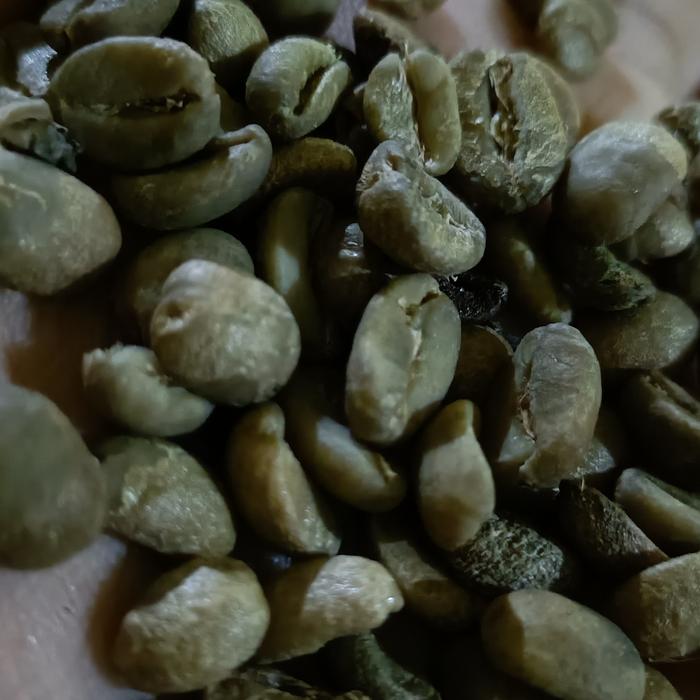 Jual THE IDJEN ( ARABICA ASALAN COFFEE BEAN ) - Kab. Bondowoso - The ...
