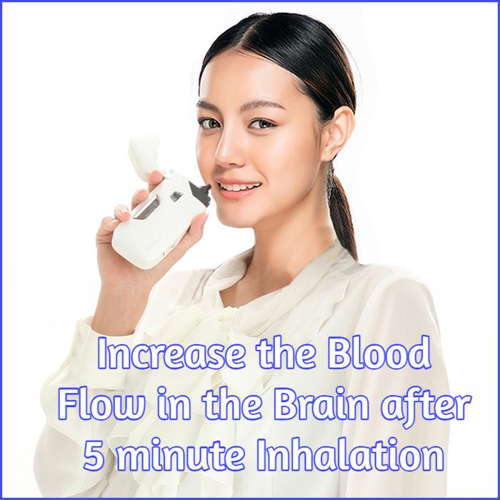 Jual KENCOS4 Flavor Set Hydrogen Blood Flow Inhaler Made in Japan ...