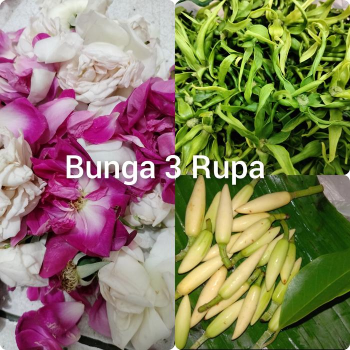 Jual bunga 3 rupa kembang telon kembang tiga rupa - Jakarta Barat ...