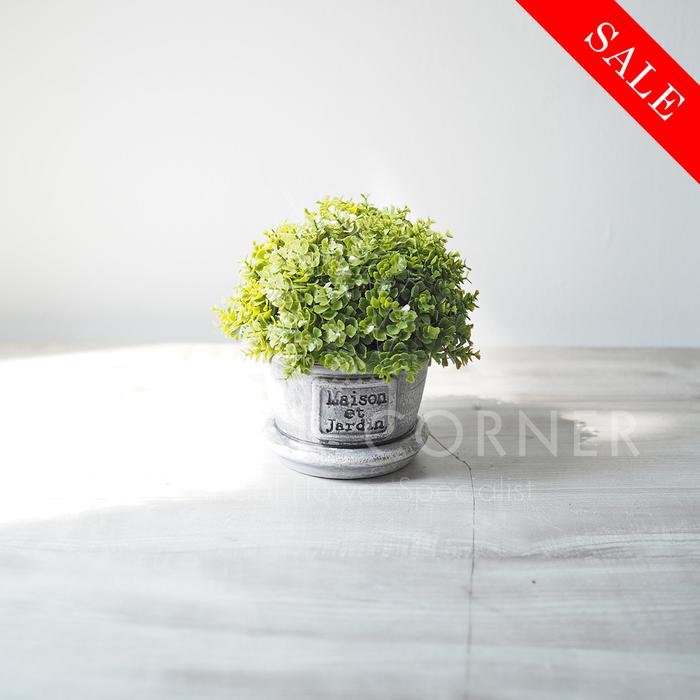 Jual Rumput Bulat dalam Vas / Potted Grass Type B (B19150) - Jakarta ...