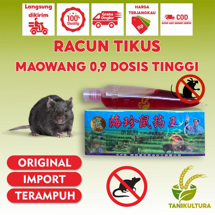 Jual Racun tikus mati kering maowang 0,9 dosis tinggi obat tikus ...
