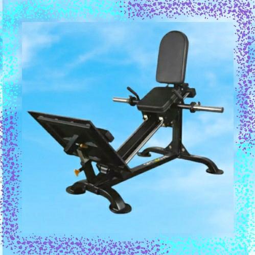 Jual Alat gym compact leg press /LEG PRESS COMPACT OPTIMOVE - Kota ...
