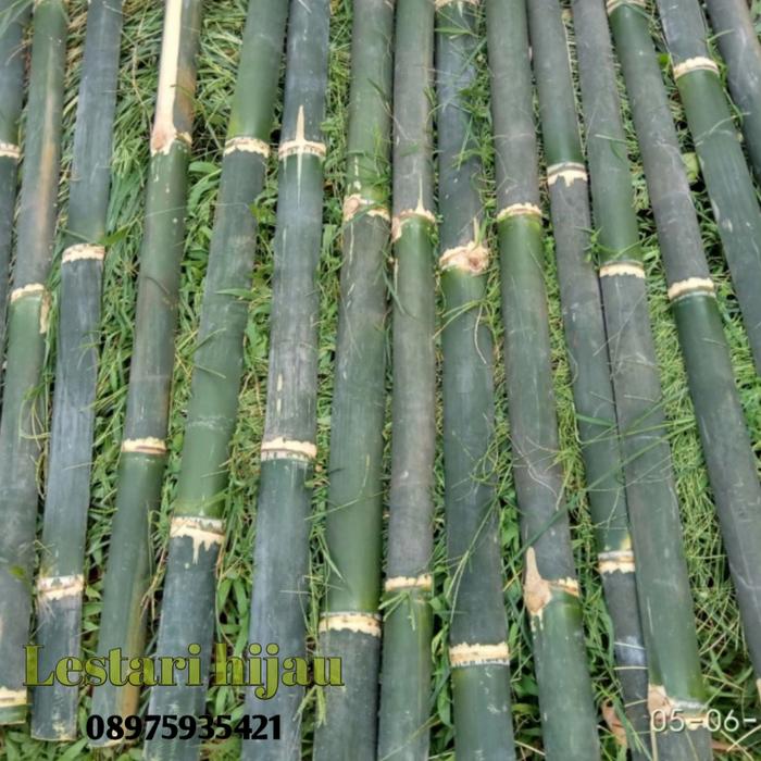 Jual Bilah bambu 150cm/ Belah bambu panjang / Belah bambu - Kab. Bogor ...
