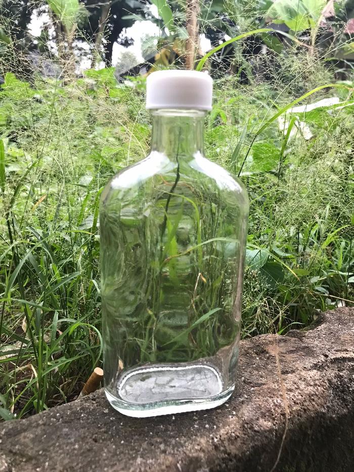 Jual Botol mansion 250ml / Botol Pocket 250ml / Botol kaca 250ml - Kota ...